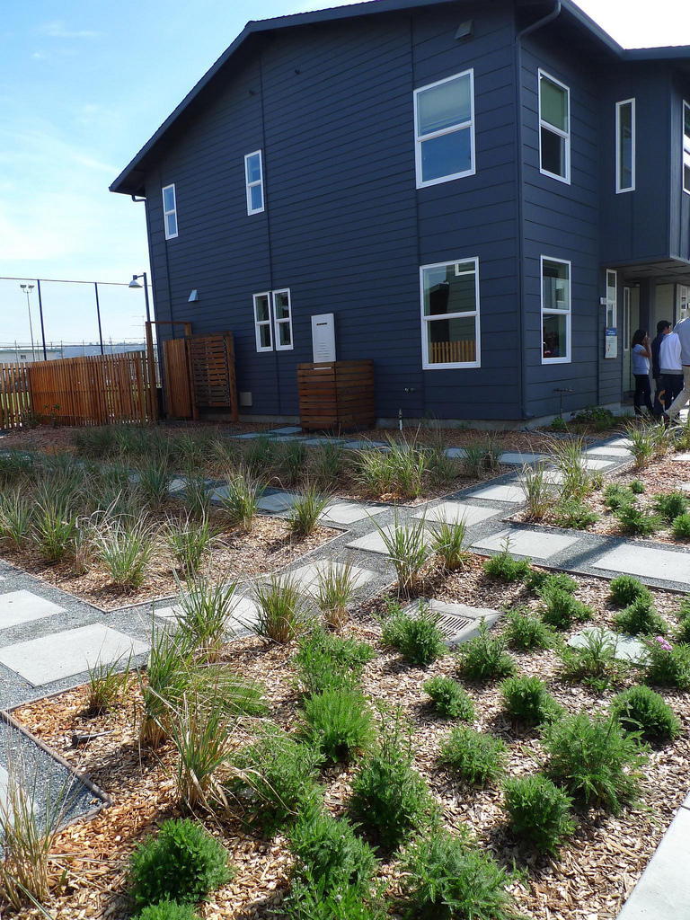 How to Manage Stormwater in Your Landscape - Heinen Landscape