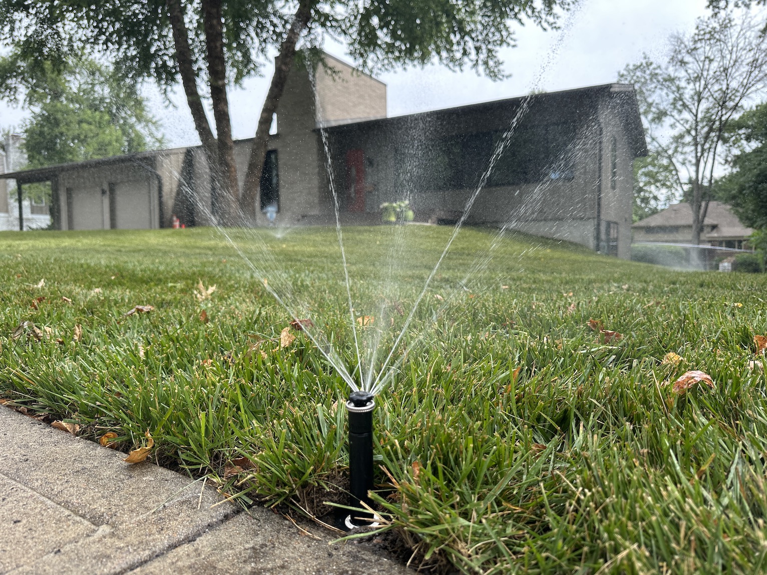 Choosing the Best Landscape Investments for Your Home - Heinen Landscape